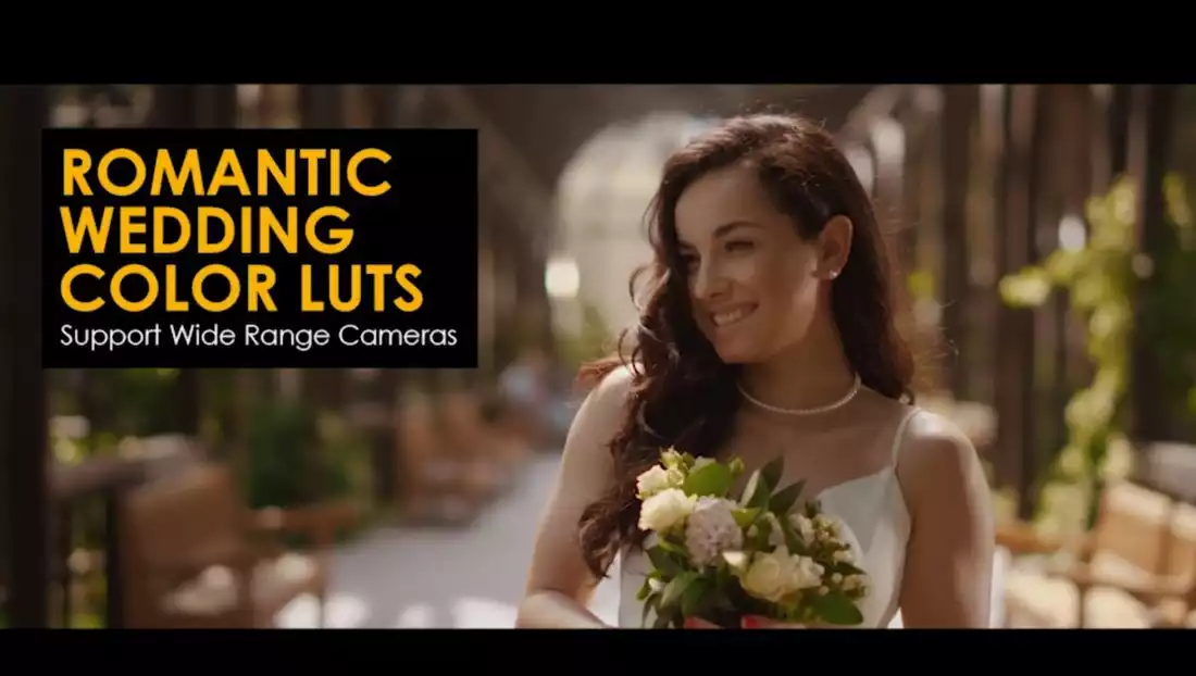 Romantic Wedding LUTs for DaVinci Resolve | Design Shack