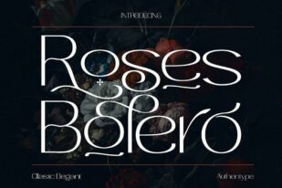 25+ Font Estetis Terbaik di 2023 – Desainae.com