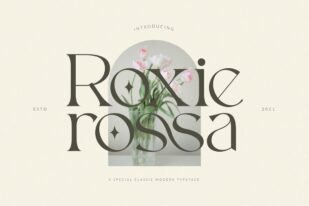 35+ Best Aesthetic Fonts in 2024 | Design Shack