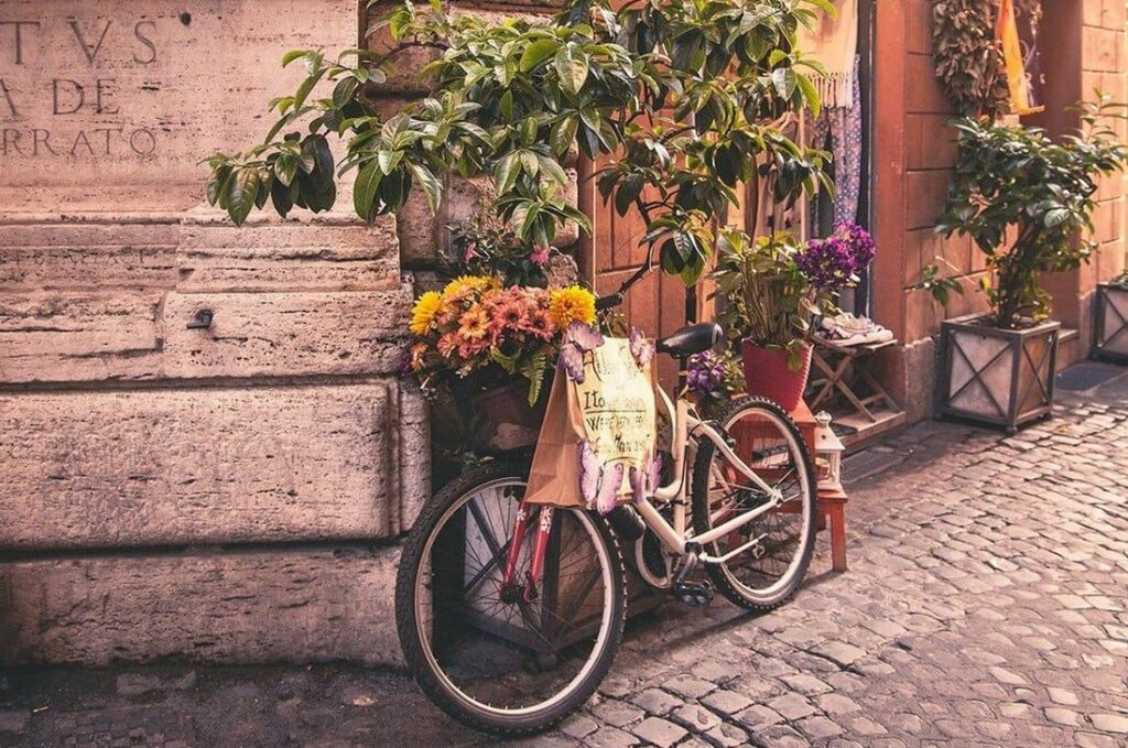 35+ VSCO Photoshop Actions & Effects 2023 - Shack Design