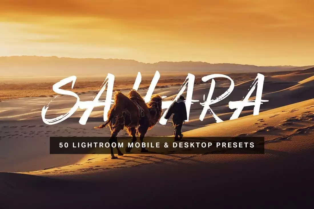 Sahara 50 Outdoor Lightroom Presets | Design Shack