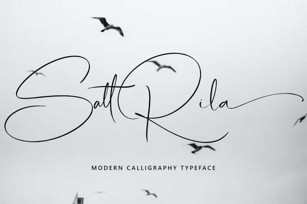 25+ Best Curvy Fonts in 2025 (Free & Pro) | Design Shack
