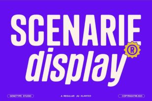 60+ Best Fonts for Flyers 2024 | Design Shack