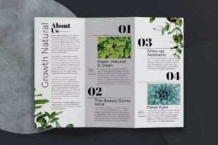15+ Tips & Ideas for Tri-Fold Brochure Design | Design Shack