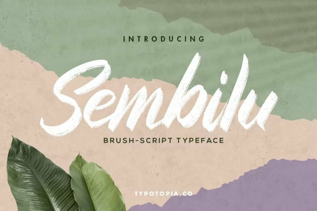 Cursive Vs Script Typography Which Is Better Design Shack 6761