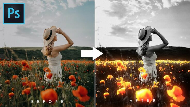 20+ Funny & Cool Photoshop Ideas for Design Projects (+ Templates ...