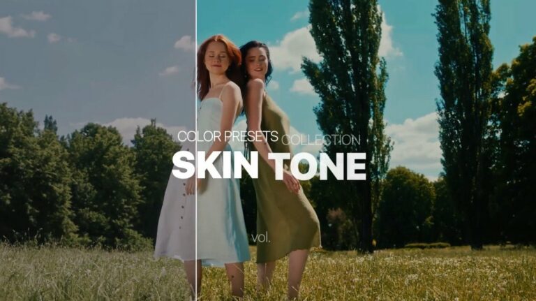 20+ Best Color Grading Presets for Premiere Pro | Design Shack