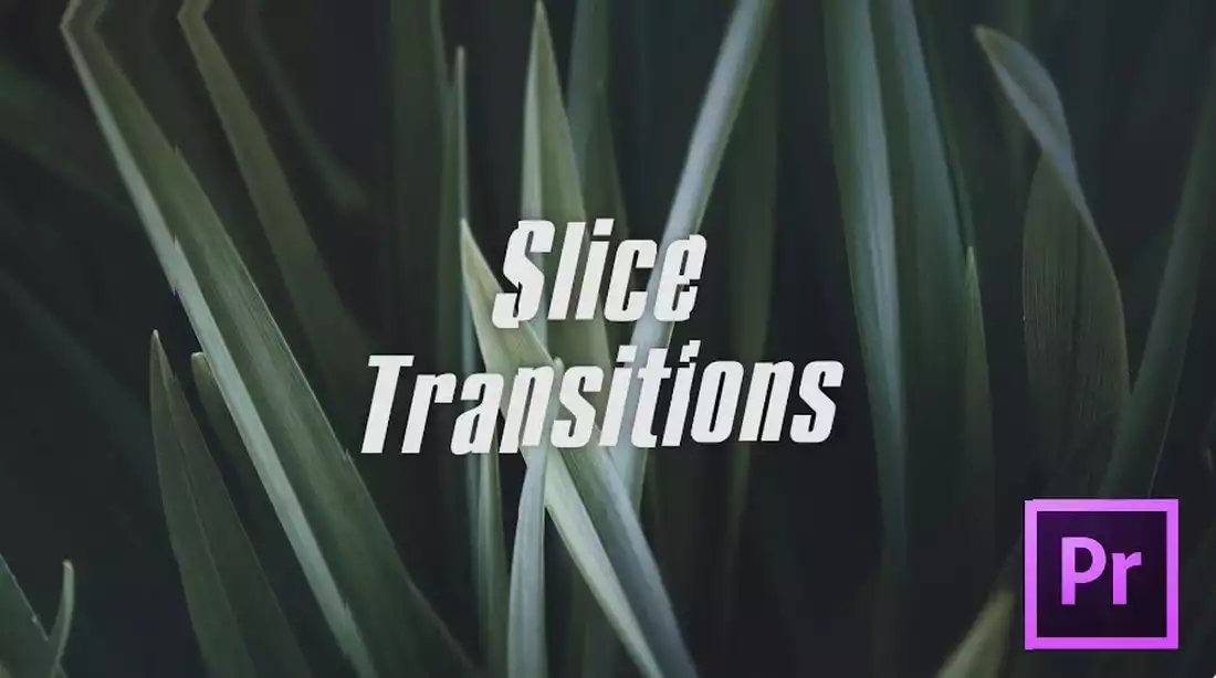 Slice Transitions Effects for Premiere Pro | Design Shack