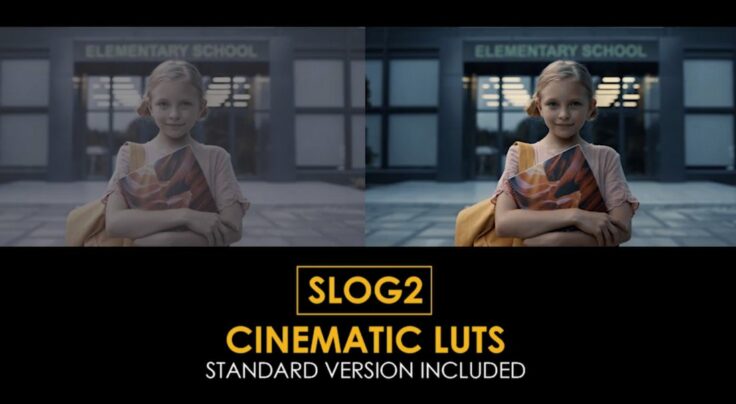 20+ Best Cinematic Color Grading Presets (For DaVinci, Premiere + More ...