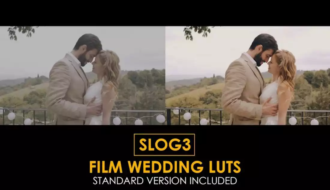 Slog3 Film Wedding & Standard LUTs | Design Shack