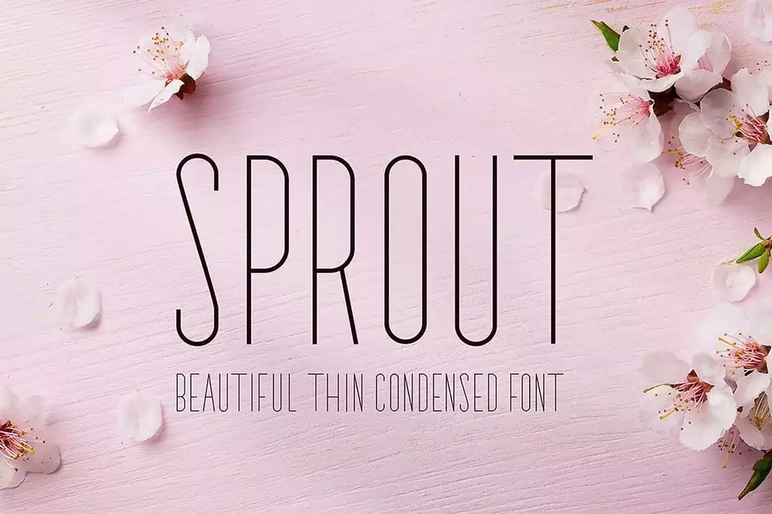 Sprout Narrow Sans Serif Font | Design Shack