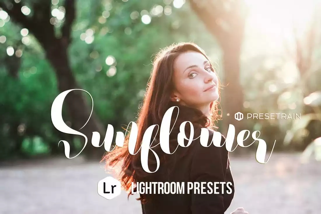 Sunflower VSCO Lightroom Presets | Design Shack