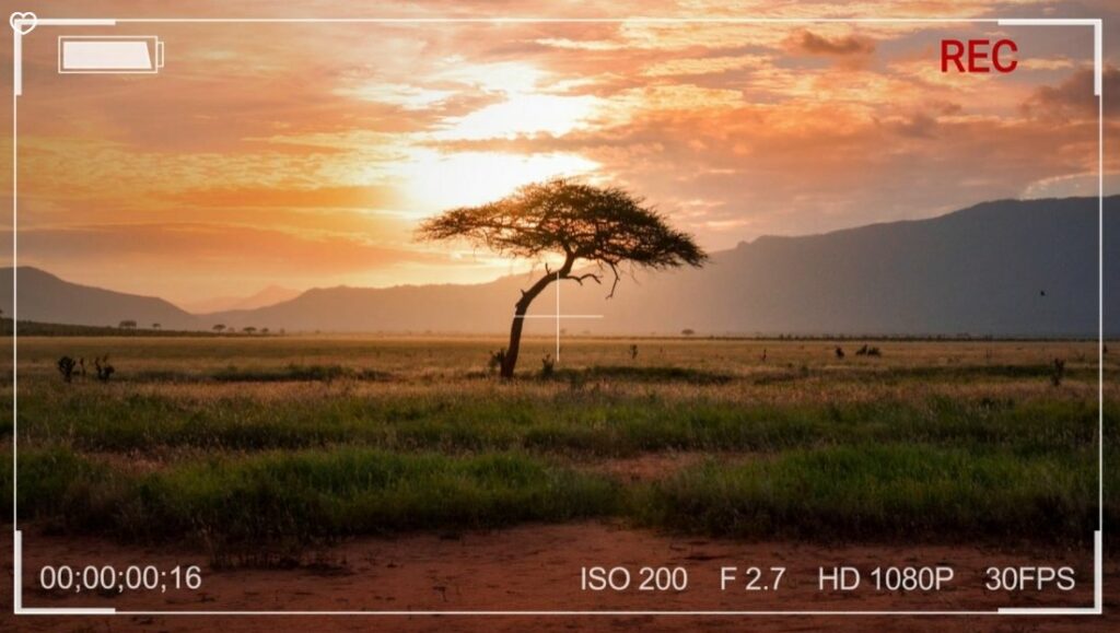 25+ Best Filmora Effects & Transitions 2025 | Design Shack