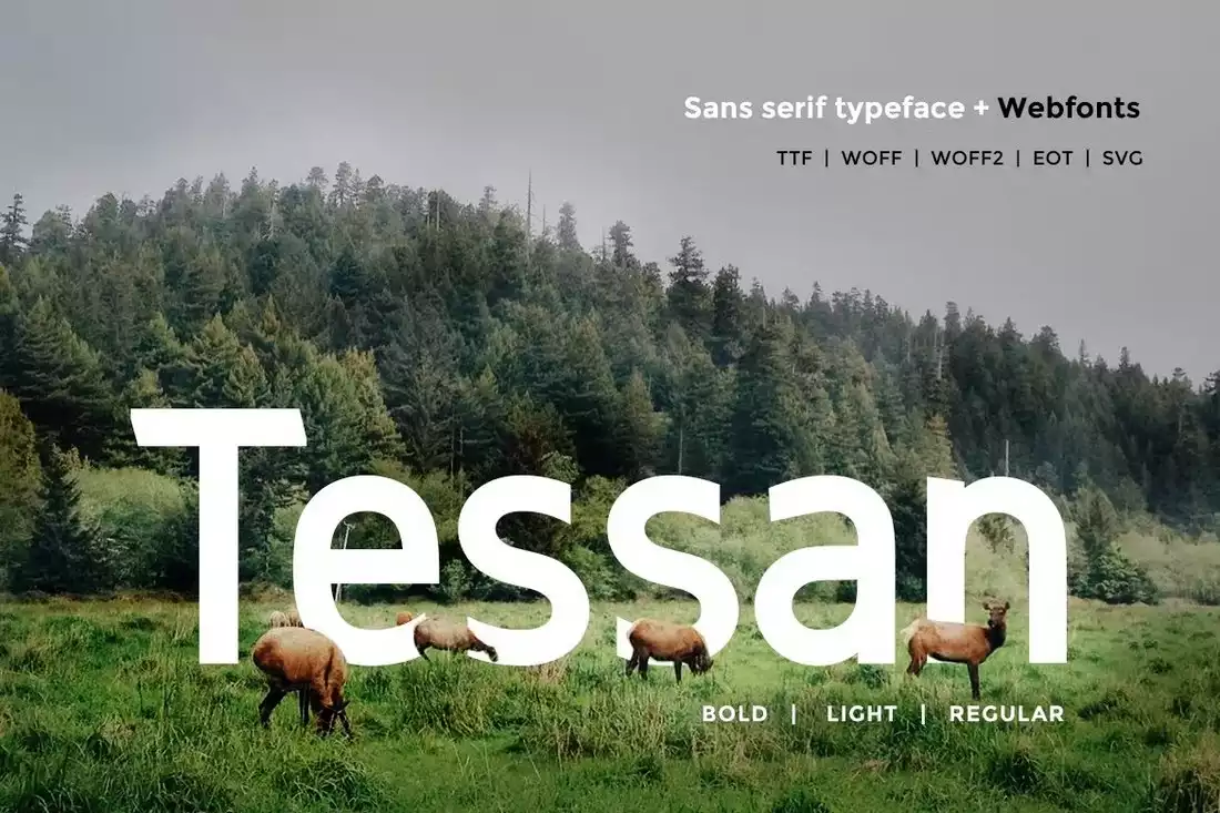 Tessan Sans Modern Clean Font | Design Shack