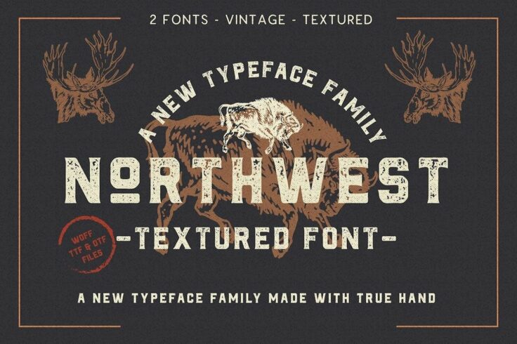 35+ Best Distressed Fonts (Free & Pro) | Design Shack