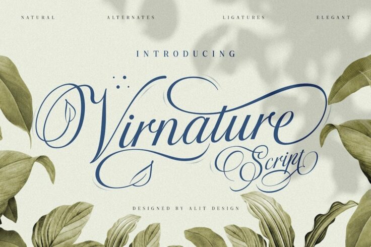 25+ Best Earthy & Nature Fonts 2024 | Design Shack