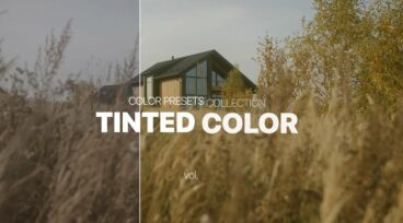 20+ Best Color Grading Presets for Premiere Pro | Design Shack