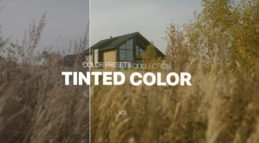 20+ Best Color Grading Presets for Premiere Pro | Design Shack