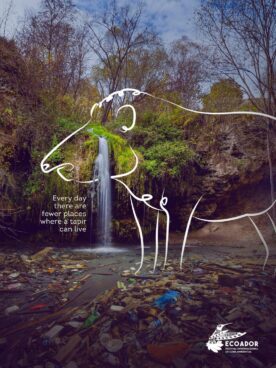 Hand-Drawn & Illustrated Posters: A Return to Organic Design | Design Shack