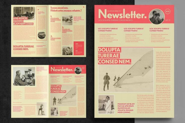 35+ Best InDesign Newsletter Templates (Free & Premium) | Design Shack