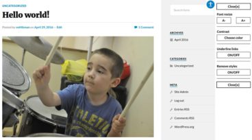 7 Top Web Accessibility Plugins for WordPress | Design Shack