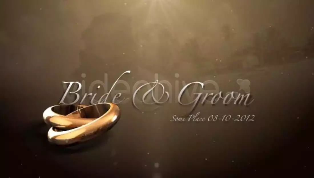 Wedding Rings Intro After Effects Template | Design Shack