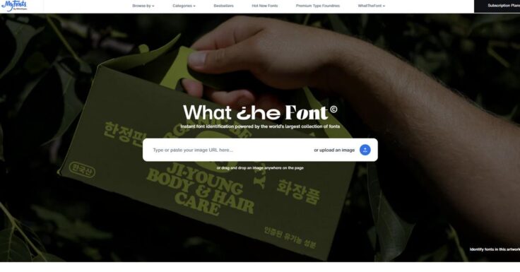 How to Identify a Font: Tips, Tools & Techniques | Design Shack