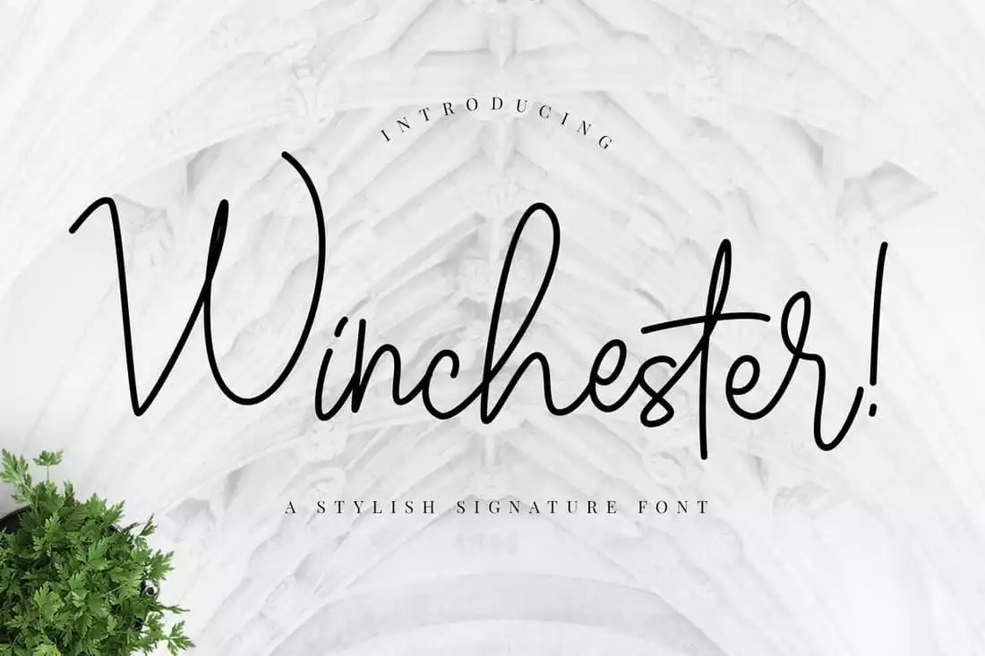 Winchester Font | Design Shack