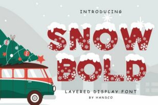 25+ Best Winter, Ice & Snow Fonts (Free & Pro) | Design Shack