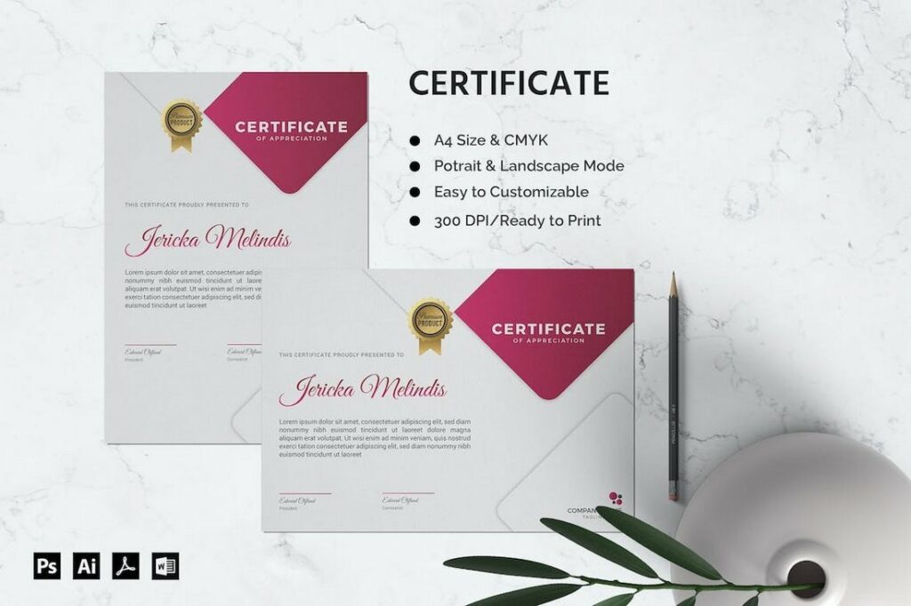 20+ Editable Certificate & Award Templates for Word + Google Docs ...