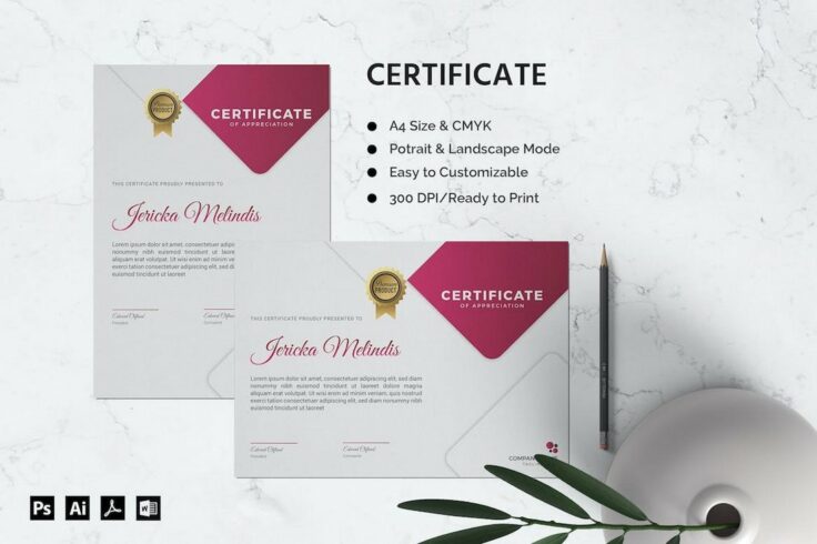 20+ Editable Certificate & Award Templates for Word + Google Docs ...