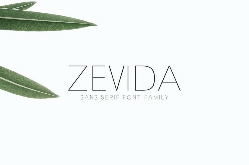 27+ Best Thin & Skinny Fonts in 2025 | Design Shack