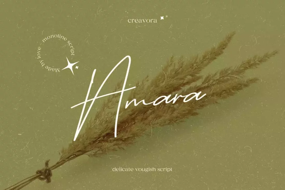 Amara Aesthetic Script Font | Design Shack
