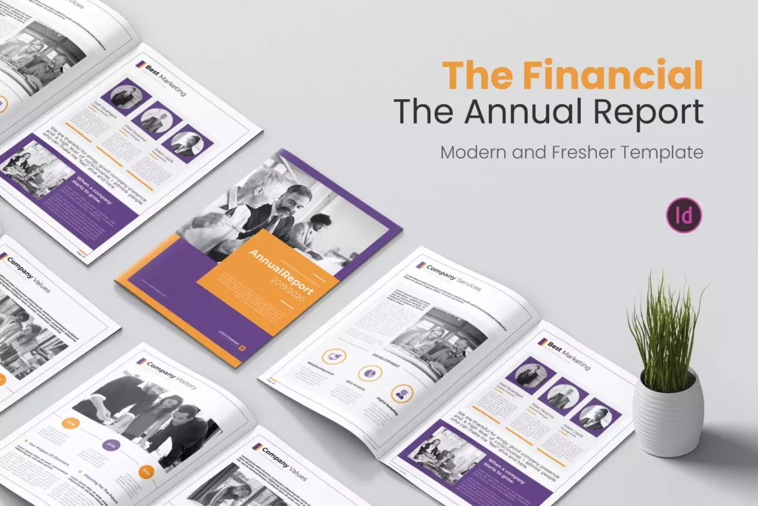 Annual Financial Report Template for InDesign | Design Shack