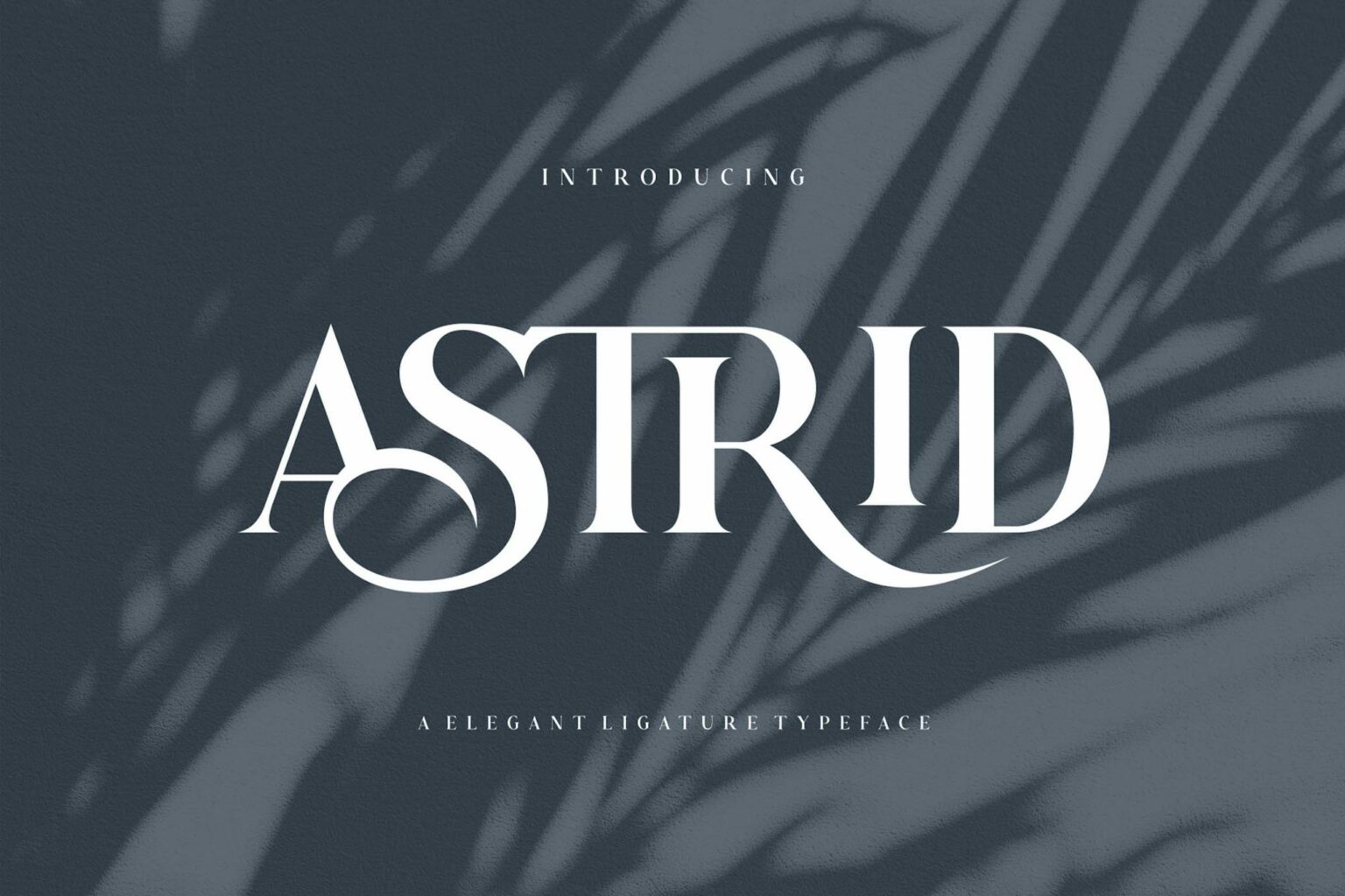 25+ Best Ligature Fonts for Harmonious Designs (Free & Pro) | Design Shack