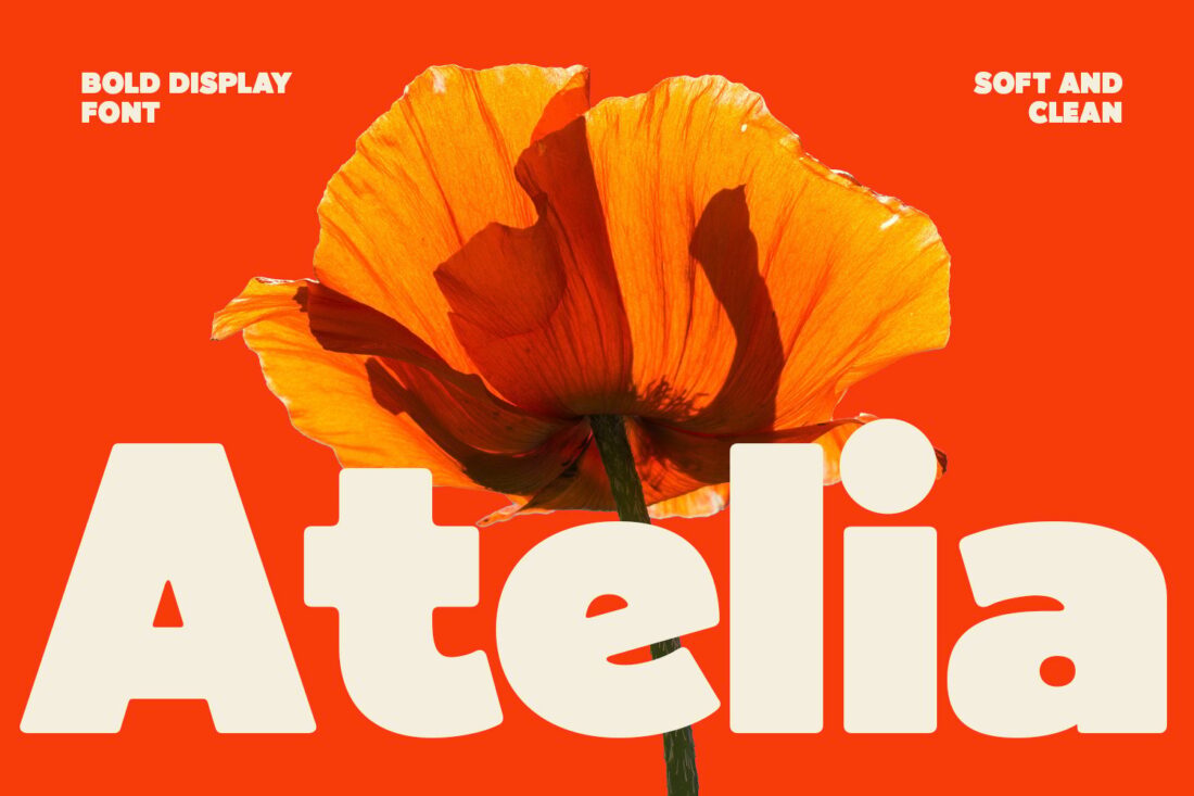 20+ High Contrast Fonts for Attention-Grabbing Titles | Design Shack
