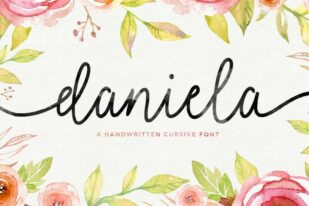 15+ Best Cursive Fonts | Design Shack