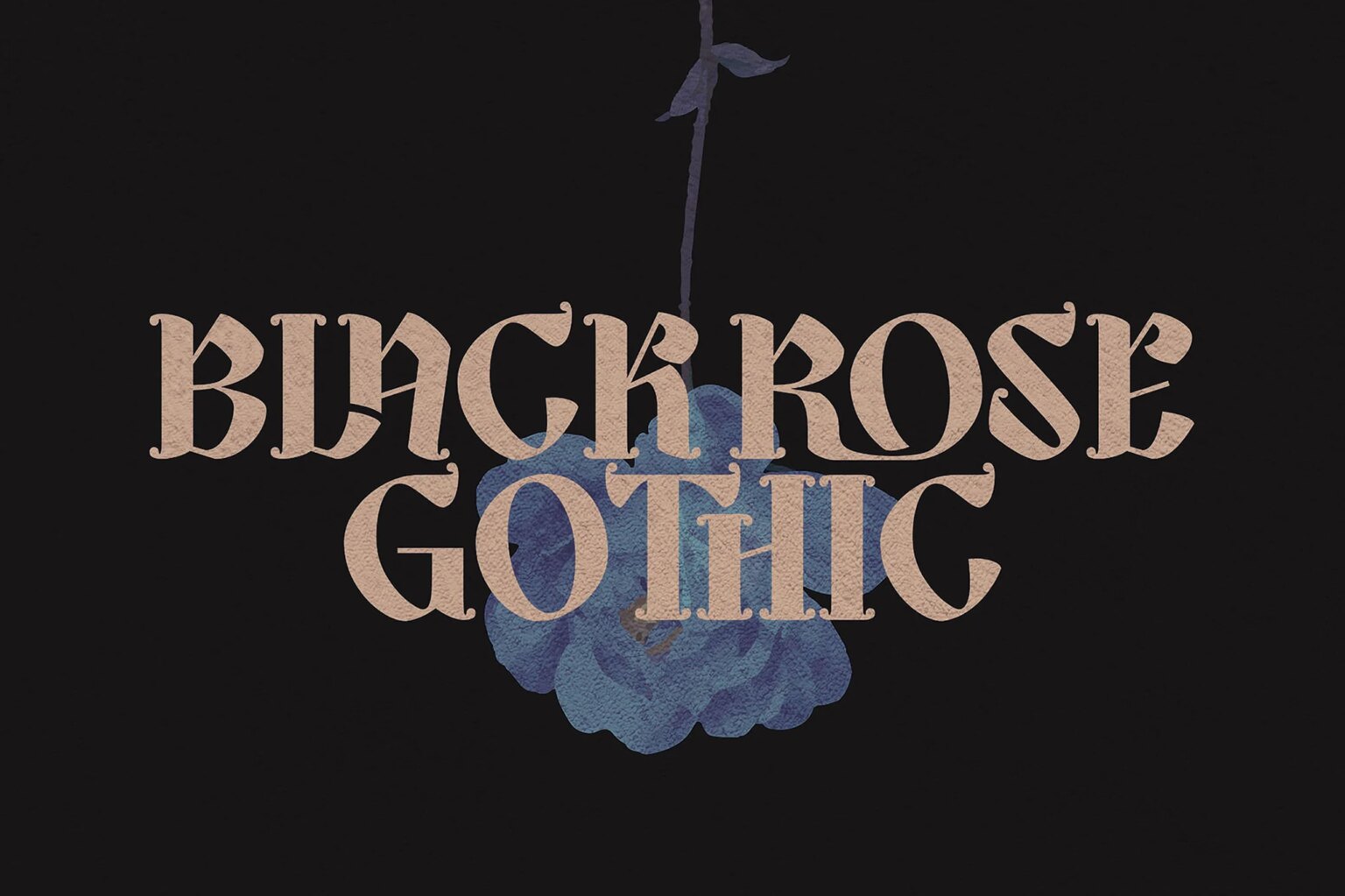 35+ Best Pirate Fonts in 2026 (Free & Pro) | Design Shack