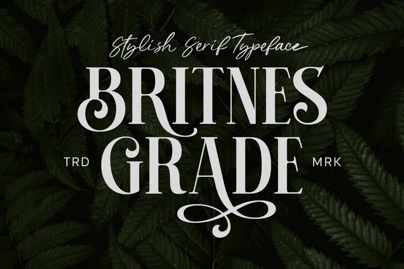 20+ Best British Fonts With Timeless Elegance & Style | Design Shack