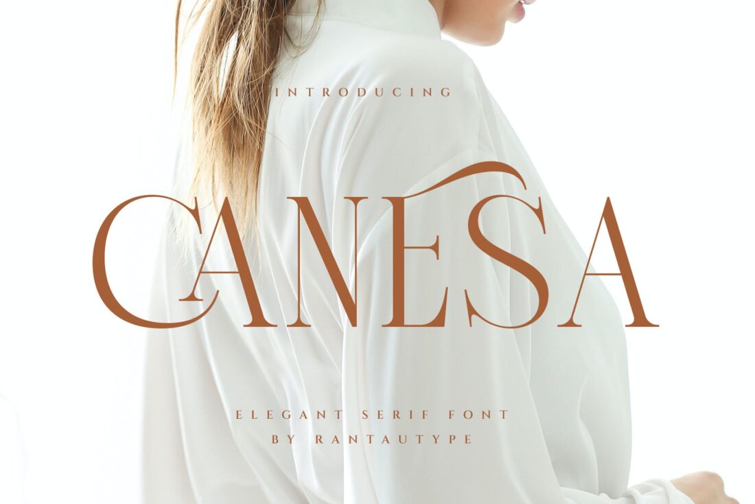 Canesa Elegant Font | Design Shack