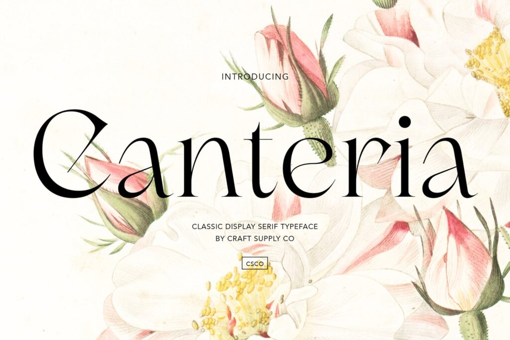 25+ Best Classic Fonts for a Timeless Design | Design Shack