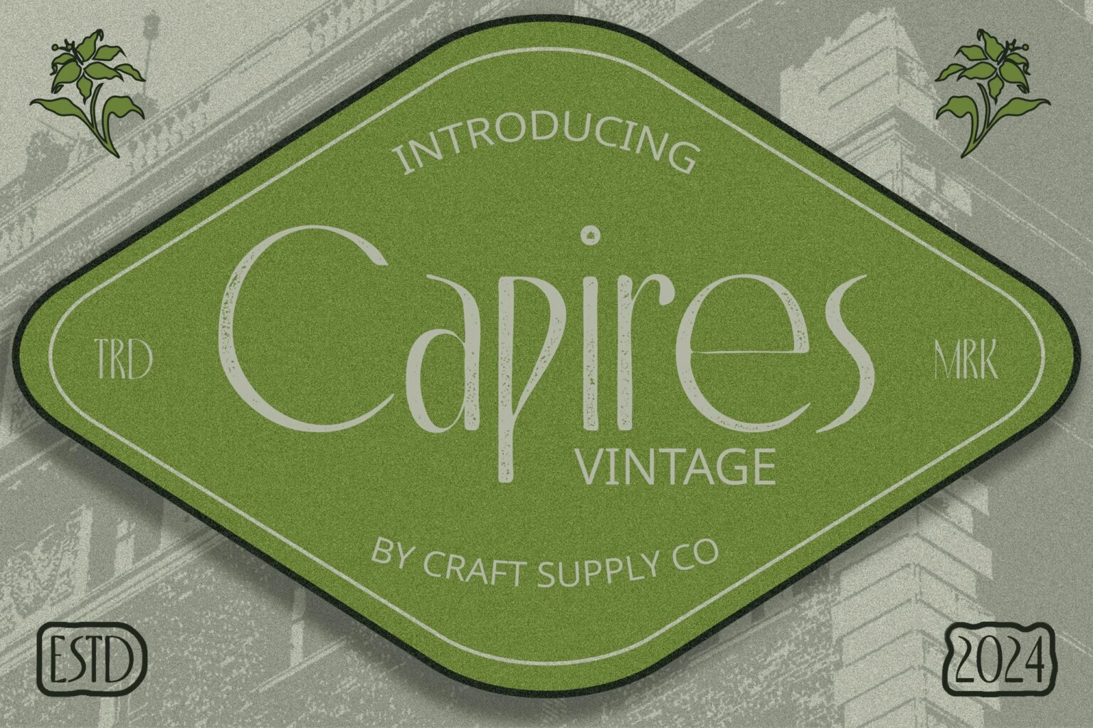 50+ Best Mid-Century Fonts (50’s + 60’s Retro Fonts) | Design Shack