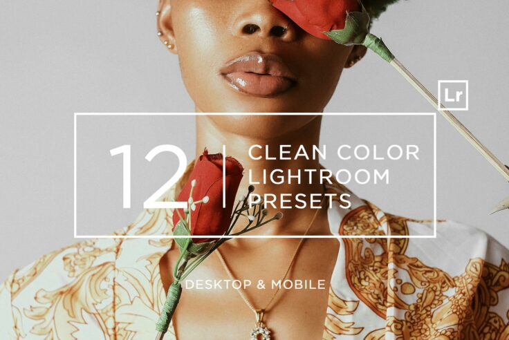 30+ Best Color Grading Lightroom Presets (Free & Pro) | Design Shack