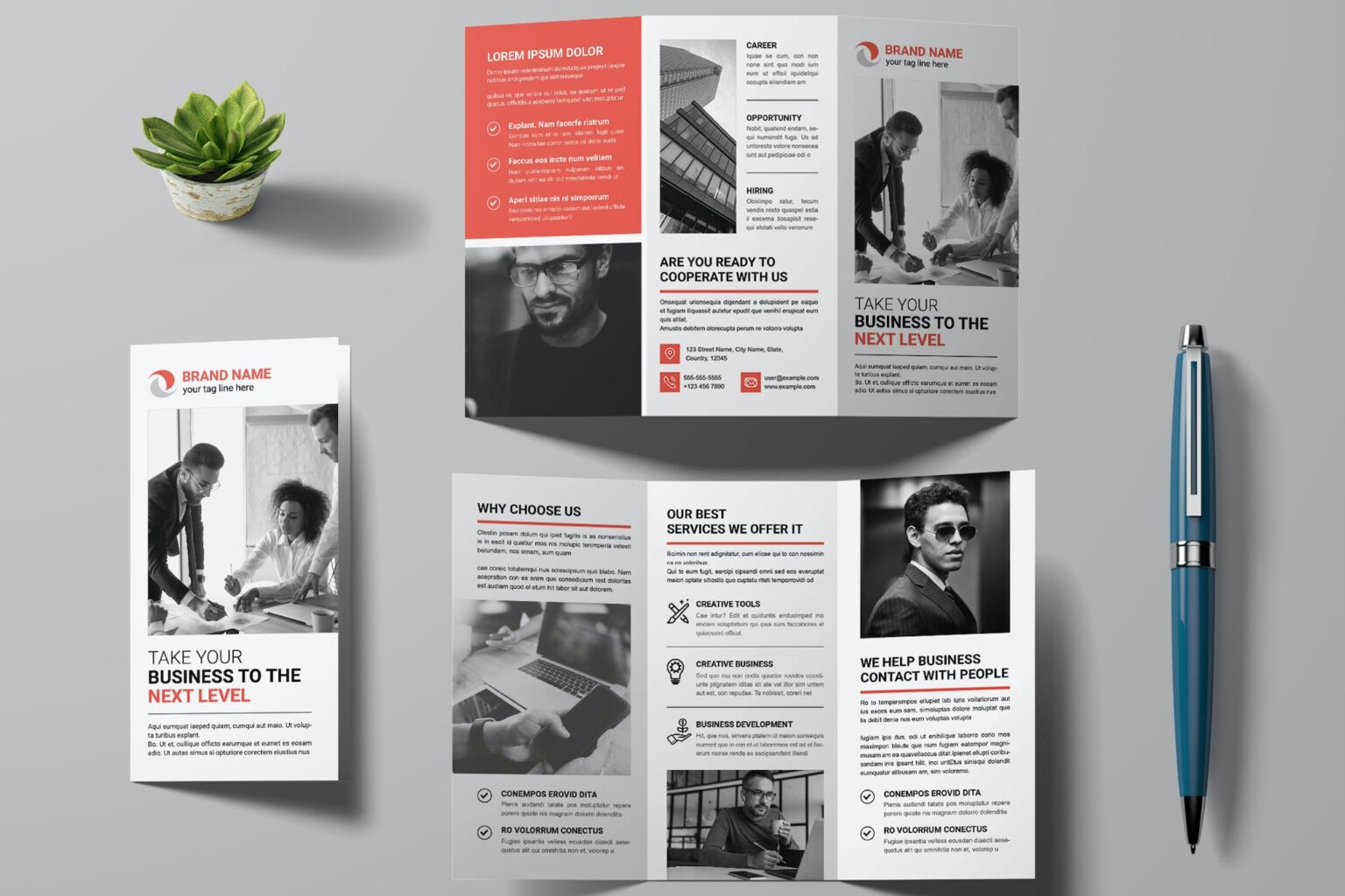 40+ Best InDesign TriFold Templates 2025 | Design Shack