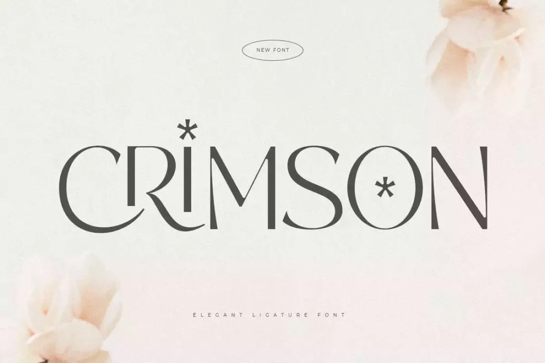 Crimson Aesthetic Font | Design Shack