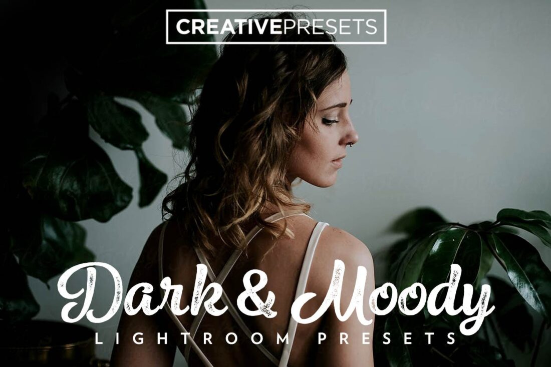 25+ Best Moody Lightroom Presets for Photographers – Yes Web Designs