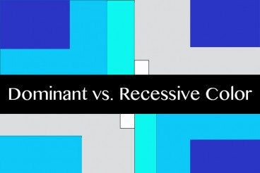 Understanding Color: Dominant vs. Recessive Colors | Design Shack