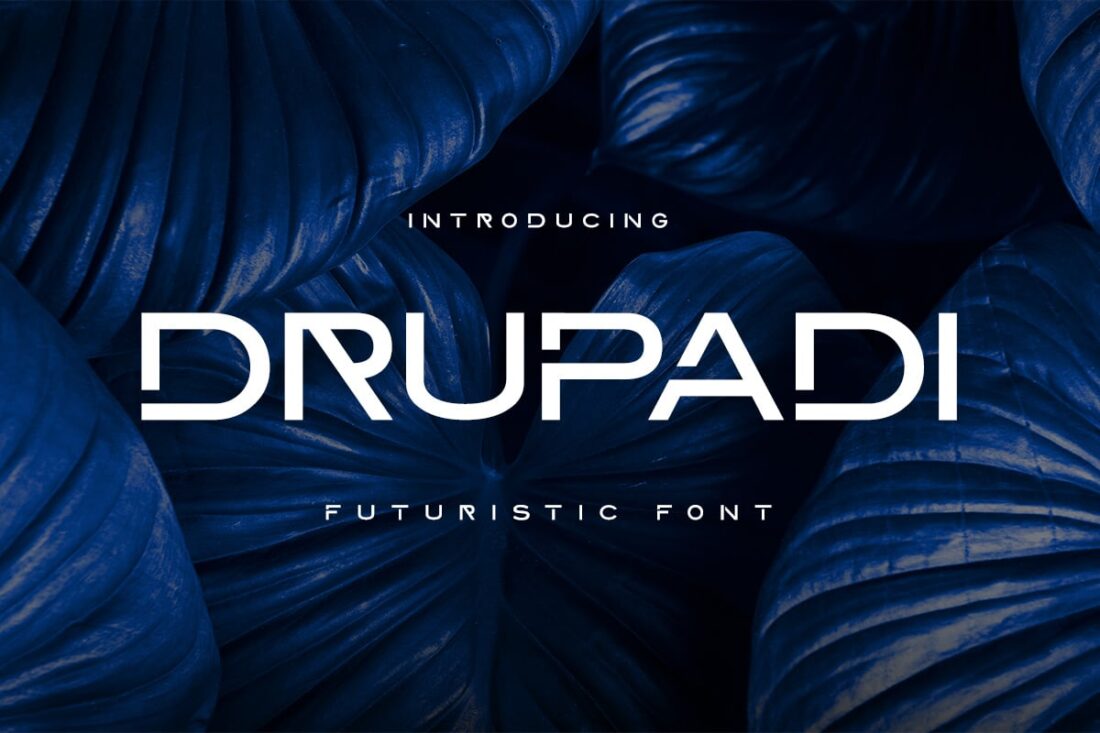 20+ Dynamic Fonts for Fluid Typography Designs | Design Shack