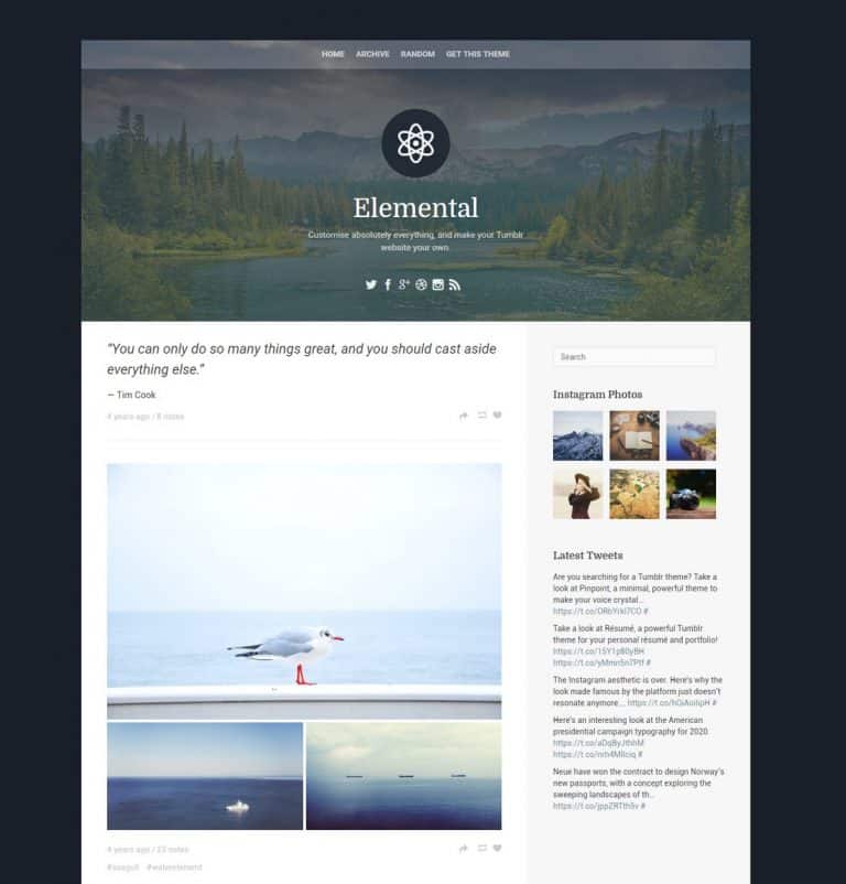 15+ Best Free Tumblr Themes | Design Shack