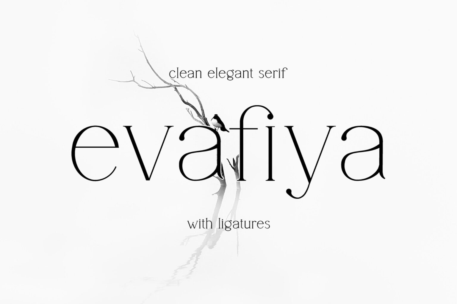 20+ Best Neutral Fonts for Global Typography Designs | Design Shack